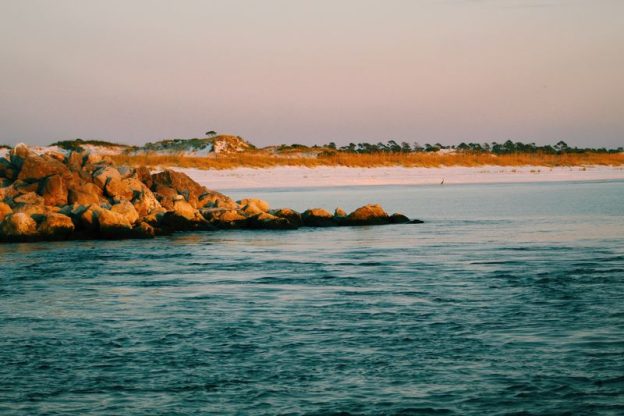 How to Plan a Shelling Adventure on Shell Island in the Fall | St ...
