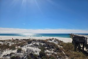 Spring Visits at St. Andrews State Park and Shell Island: Trails ...