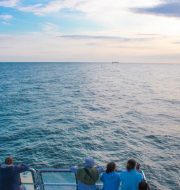 Sunset Dolphin Cruise | St. Andrews State Park & Shell Island